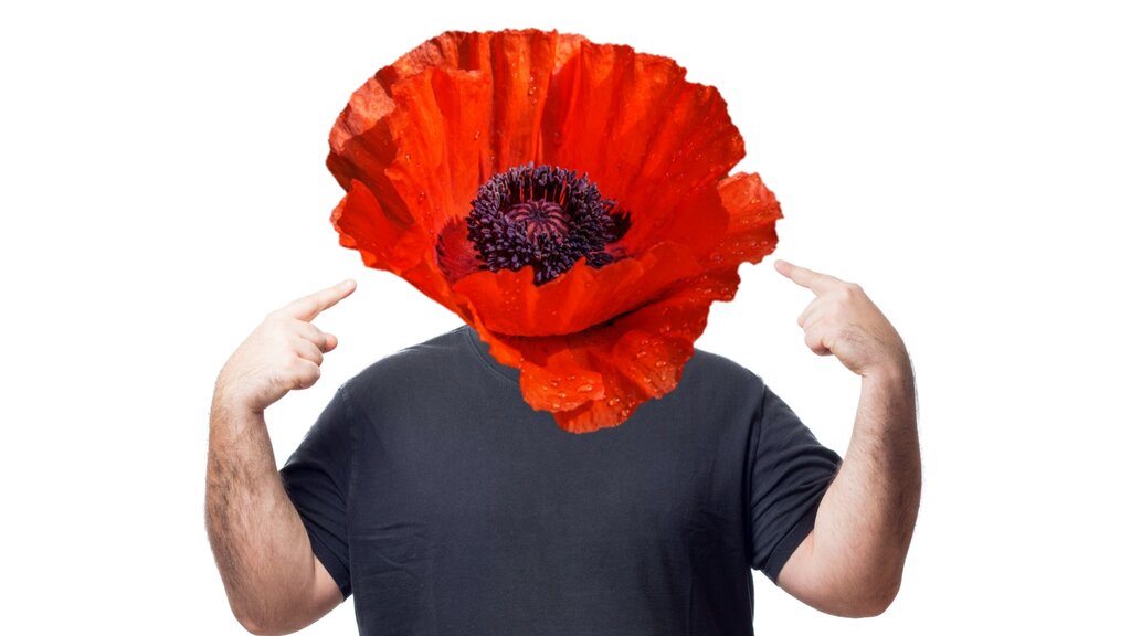 Local patriot spends £25,000 turning his head into a giant POPPY - The ...